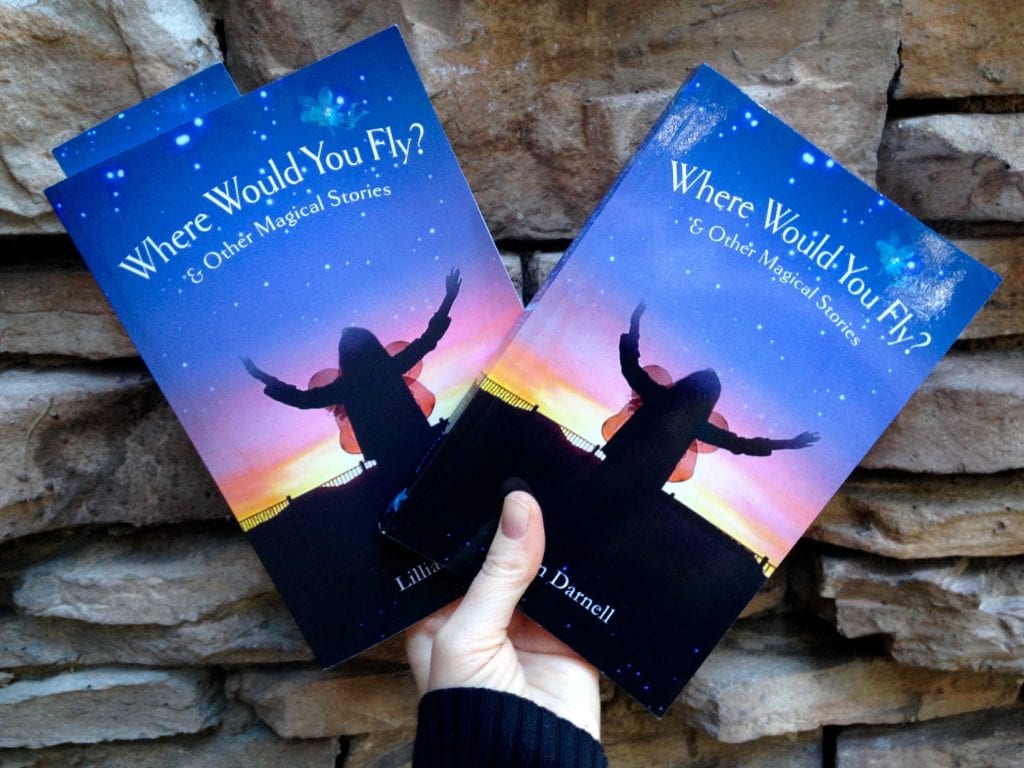 Where Would You Fly | Where Would You Fly